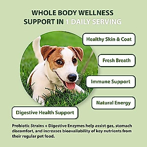 MacroLife Naturals MacroPets Greens Superfood Supplement Powder Topper for Dog Cat Small Mammal, Natural Nutrition Boost Probiotics Digestive Enzymes Vitamin E - Immune Gut Health & Energy - 6.35oz