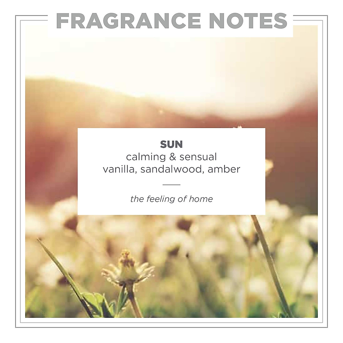 Zents Eau de Parfum (Sun) for Women & Men | Long-Lasting Clean Fragrance with Vanilla, Sandalwood & Vetiver | Warm & Woody Scent | 1.69 oz