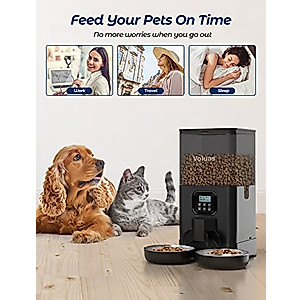 Voluas Automatic Cat Feeders for Two Cats, Double Pet Feeder with 2 Stainless Steel Bowls,6L Timed Cat Feeder with Memory Function, Pet Food Dish