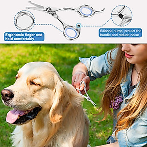 Avenoir Facial Hair Scissors for Men, Professional Mustache & Beard Scissors, Nose Ear Eyebrow Pet Trimming Stainless Steel Scissors(Safety Round Tip Design), Silver, 5.3inx2.16inx0.7in