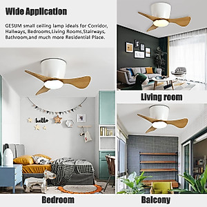 GESUM Flush Mount Ceiling Fans with Lights, 22'' Small Ceiling Fans Remote & APP Control, 3CCT Dimmable, Quiet DC Motor for Patio Kitchen Bedroom
