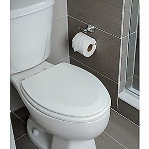 South Main Hardware Modern Euro Toilet Paper Holder - Polished Chrome