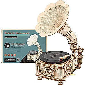 ROKR 3D Wooden Puzzles for Adults-Model Building Kit for Adults to Build-424Pcs DIY Wood Craft Kit-Room Decor for Men and Women