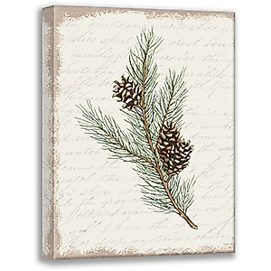 ArtDirect Pine Cone Botanical II 15x18 Gallery Wrapped Canvas Museum Art by Jacobs, Cindy