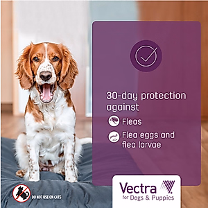 Vectra® for Dogs & Puppies Flea Treatment & Prevention for Large Dogs (56-100 lbs.) 3-Month Supply