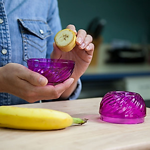 FlyFix Fruit Fly Trap for Indoors - Gnat and Effective Fruit Fly Trap - Easy to Use - Best for Kitchen, Dining Areas - use Food as Lure Attractants (Green)