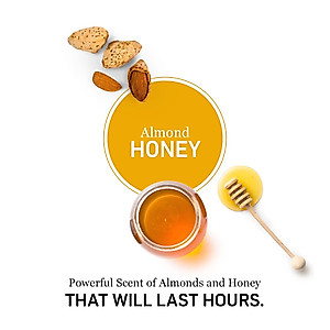 Hairgurt Natural Intense Repair Yogurt Shampoo For Women With Frizzy, Dry, Damaged Hair. For The Appearance Of Noticeably Thicker, Fuller Hair. Even On Color Treated Hair. Sulfate-Free (237 ml / 8 oz)