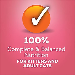 Purina Friskies Wet Cat Food Pate, Salmon Dinner - (24) 5.5 oz. Cans