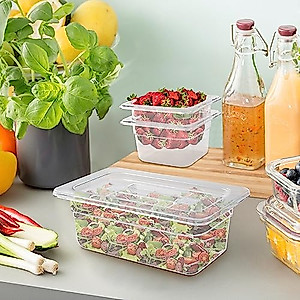 Qmeeki 6 Pack 1/4 Size 4'' Deep Clear Food Pans with Lids, Commercial Food Pans Acrylic Transparent Food Storage Containers, Stackable Plastic Pan with Capacity Scale, Restaurant Supplies Hotel Pan