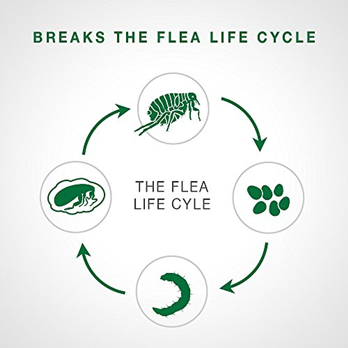 Bayer Animal Health Advantage II Extra Large Dog 6-Pack