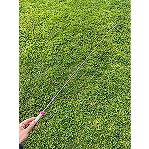 Amestar 12 Pack Marshmallow Roasting Sticks Telescoping Rotating Smores Skewers Hot Dog - 32 inches -Extendable Smores Sticks Forks for fire Pit, Campfire, Camping, Bonfire and Grill