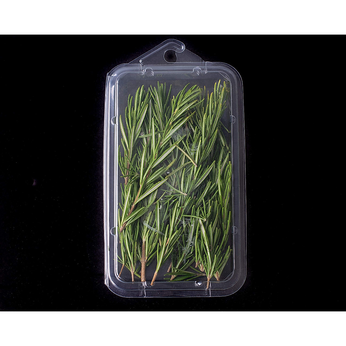 JA Kitchens .75 Ounce Small Herb Clamshell Container - Disposable - Pack of 20