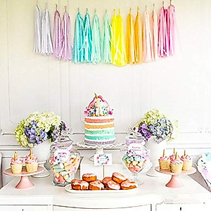 Fonder Mols Rainbow Tissue Tassel Garland DIY Kit Pink Pastel Ombre Tassel Banner for Girls Room,Nursery, Unicorn Baby Shower Birthday Party Decorations A29