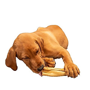 QT Dog Water Buffalo Jumbo Check Rolls - All Natural Long Lasting Dog Chews, Limited Ingredients, Protein-Packed, Gluten & Grain -Free, Odor-Free Dental Chews, Ideal for Medium & Large Dogs