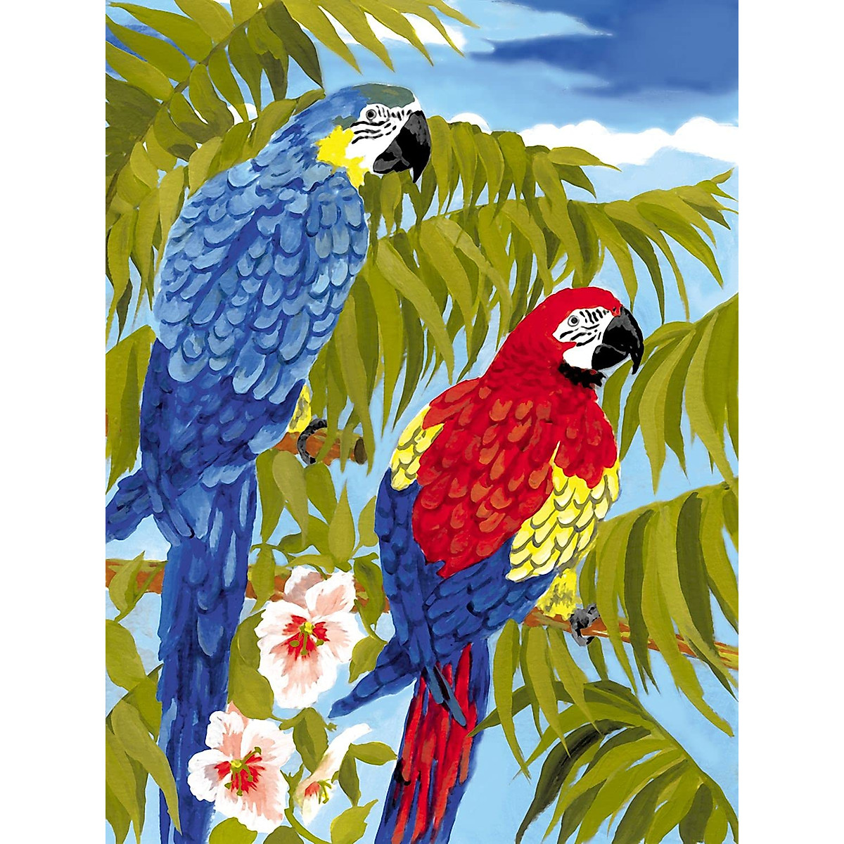 Pracht Creatives Hobby Paint by Numbers Junior Parrots, DIY Picture Approx. 33 x 24 cm, Includes 7 Acrylic Paints, Brush and Printed Painting Card, Ideal for Beginners and Children from 8 Years
