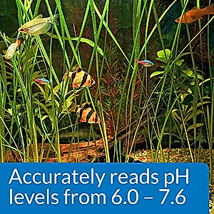 API PH TEST KIT 250-Test Freshwater Aquarium Water pH Test Kit, 4 Piece Set