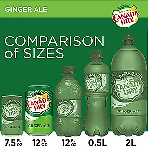 Canada Dry Ginger Ale Soda, 12 fl oz cans (Pack of 12)