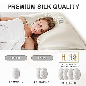 HYDE LANE 25 Momme 100% Pure Mulberry Silk Pillowcase for Hair and Skin with Hidden Zipper, Both Side Grade 6A Silk, Luxury Smooth and Soft,Real Silk Pillow Case, 1pc Queen 20''x30'',Ivory White
