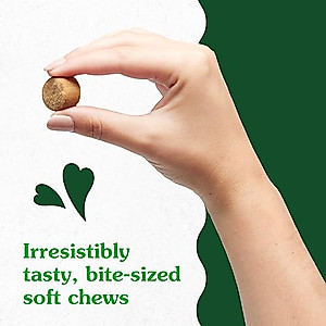 Greenies Supplements Dog Skin and Coat Supplements with Fish Oil & Omega 3 Fatty Acids, Chicken Flavor, 80 Count Soft Chews, 14.7 oz.