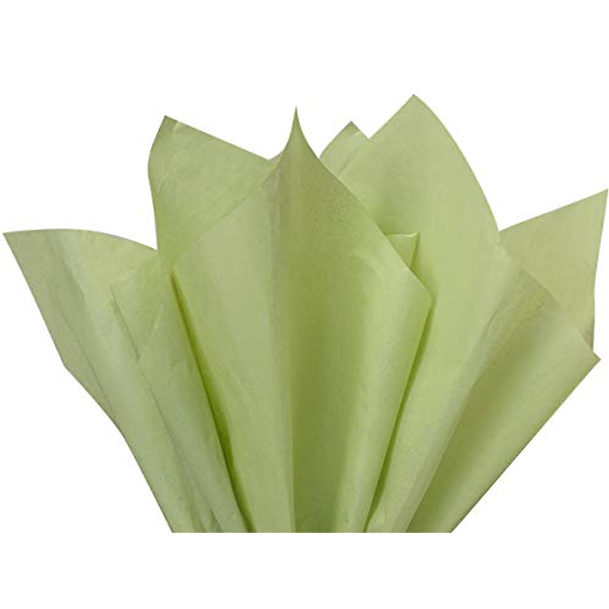 Feronia packaging Sage Tissue Paper Squares, Bulk 10 Sheets, Premium Gift Wrap and Art Supplies for Birthdays, Holidays, or Presents, Large 15 Inch x 20 Inch Made in USA