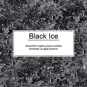 Little-Trees Black Ice Little Tree Air Freshener- 24 Pack