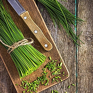 Gaea's Blessing Seeds - Chives Seeds (1000 Seeds) Non-GMO Seeds with Easy to Follow Planting Instructions - Open-Pollinated Heirloom 88% Germination Rate 1.5g (Single Packet)