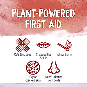 Boiron Calendula Ointment for Relief from Minor Burns, Cuts, Scrapes, and Insect Bites - 3 oz (3 Pack of 1 oz)