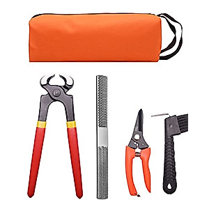8 inch Farrier Hoof Tool Kit（5 Piece） Mini Rasp Hoof File Goat Pig Equine Metal Shears Farriers Hoof Nipper Cutter Handle Knife Stable Supplies