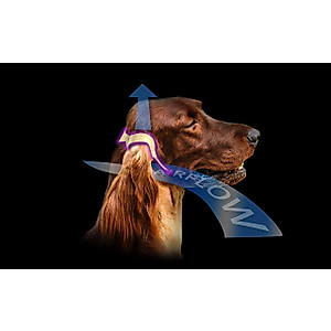 Dog Harness for Ear Care 3-Pack: Fits All Dogs with Long, Floppy Ears