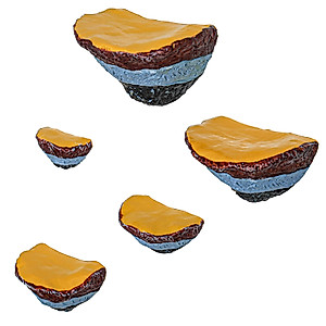 Mini Mushroom Shelf Set of 5 - Adhesive Mushroom Wall Decor for Cottage Core Room Decor, Gecko Tanks, and Kitchen/Bathroom - 1-4 Inches Mushroom Shelves.