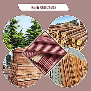 Vazpalas 12 Pack Cedar Blocks for Clothes Storage, Cedar Drawer Liners, Cedar Hanger Ups for Closet, 100% Natural Cedar Hang Ups, Red Cedar Storage Accessories for Closets & Drawers