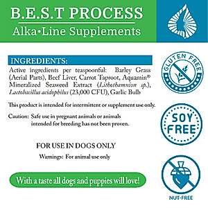 Alka•Dog — Morter HealthSystem Best Process Alkaline — Nutrient Rich Superfood Powder for Dogs with Probiotics, Trace Minerals, Enzymes & Antioxidants