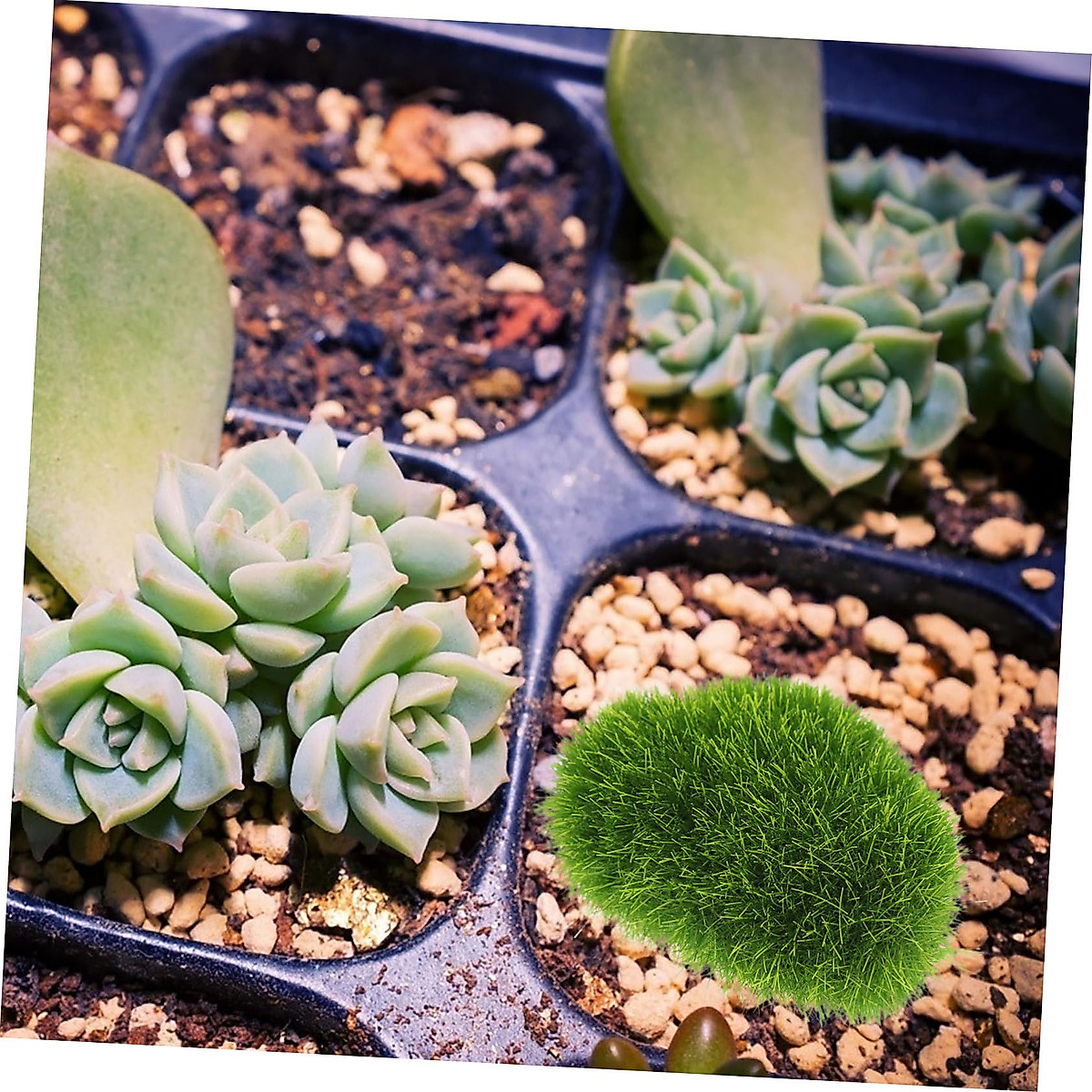 VINTORKY 8pcs Artificial Moss Faux Green Stones Aquarium Fake Balls Plants Flower Micro Landscape Stone Artificial Stones Fairy Gardens Ornament Moss for Crafts Fake for Container Foam Rock