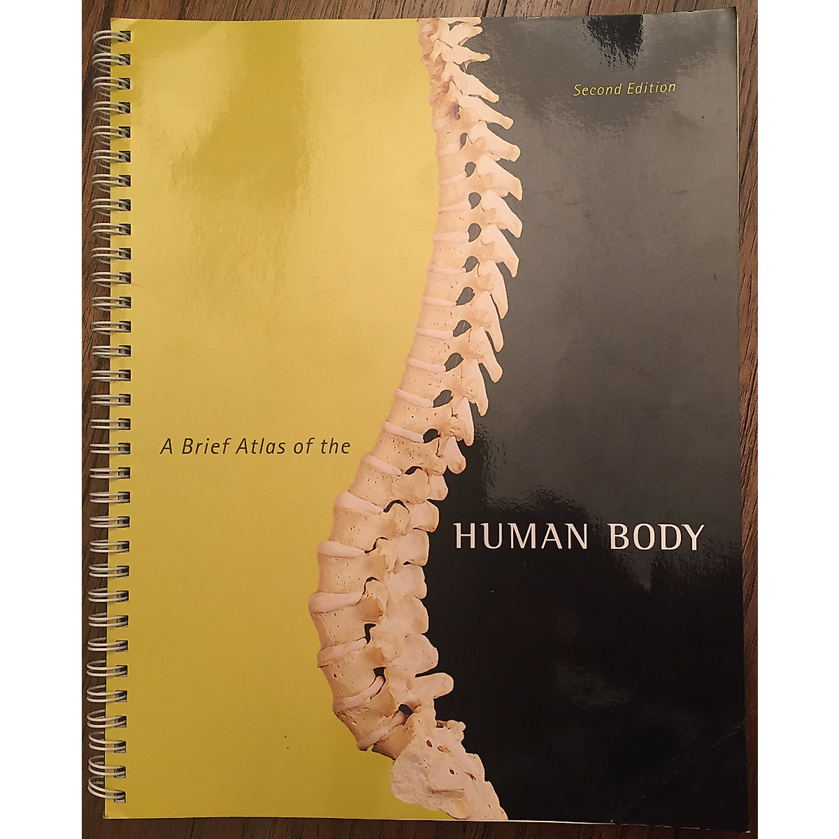 Brief Atlas of the Human Body, A