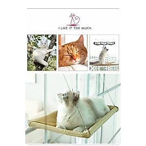 Cat Bed Window, Cat Window Hammock Window Perch , Safety Cat Shelves Space Saving Window Mounted Cat Seat for Large Cats (Large, Beige)
