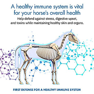 Equa Holistics HealthyGut™ Probiotics for Horses Dietary Supplement, All-Natural Digestive System Maintenance Formula (30 Days)