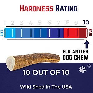 Devil Dog Pet Co. Elk Antlers for Dogs, 1 Pack, Extra Large 7”+, Grade A Long Lasting Dog Bones for Aggressive Chewers, Premium USA Naturally Shed Antler Dog Chew – Healthy, No Odor, Dog Antler Chews