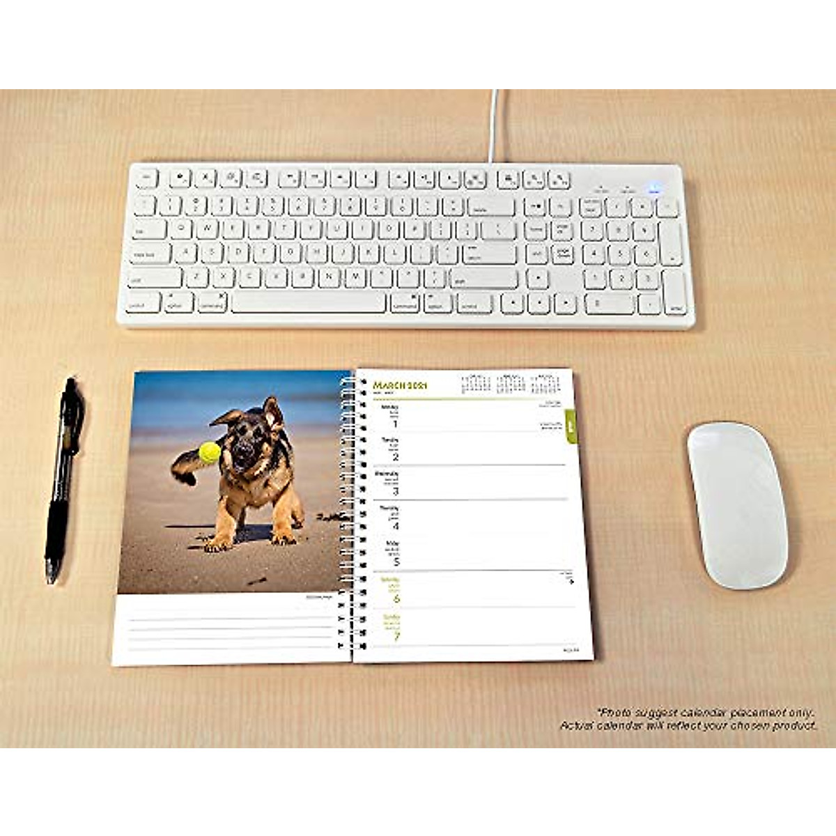 Golden Retrievers 2021 Calendar