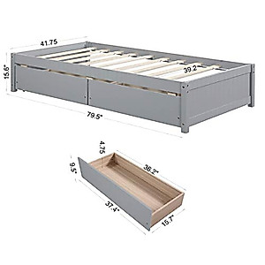 Twin Size Platform Bed with 2 Storage Drawers,Twin Bed Frame with Storage, Solid Wood Daybed with No Headboard for Kids Teen Grils Boys,Easy Assembly (Gray)