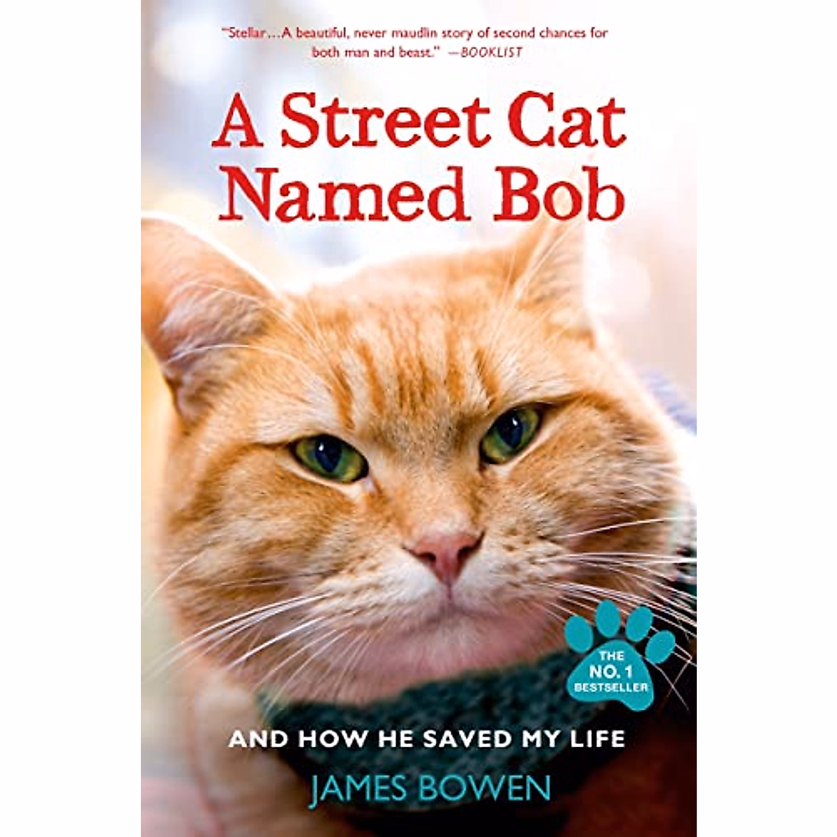 A Street Cat Named Bob: And How He Saved My Life