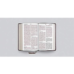 ESV Large Print Personal Size Bible (TruTone, Mahogany)