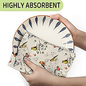 JXDXHCW 2 Pack Kitchen Towel Birds Branch Pattern Soft Absorbent Dish Towel Tea Towels Hand Towel for Drying Dishes Cleaning Cooking 18 x 28 Inch