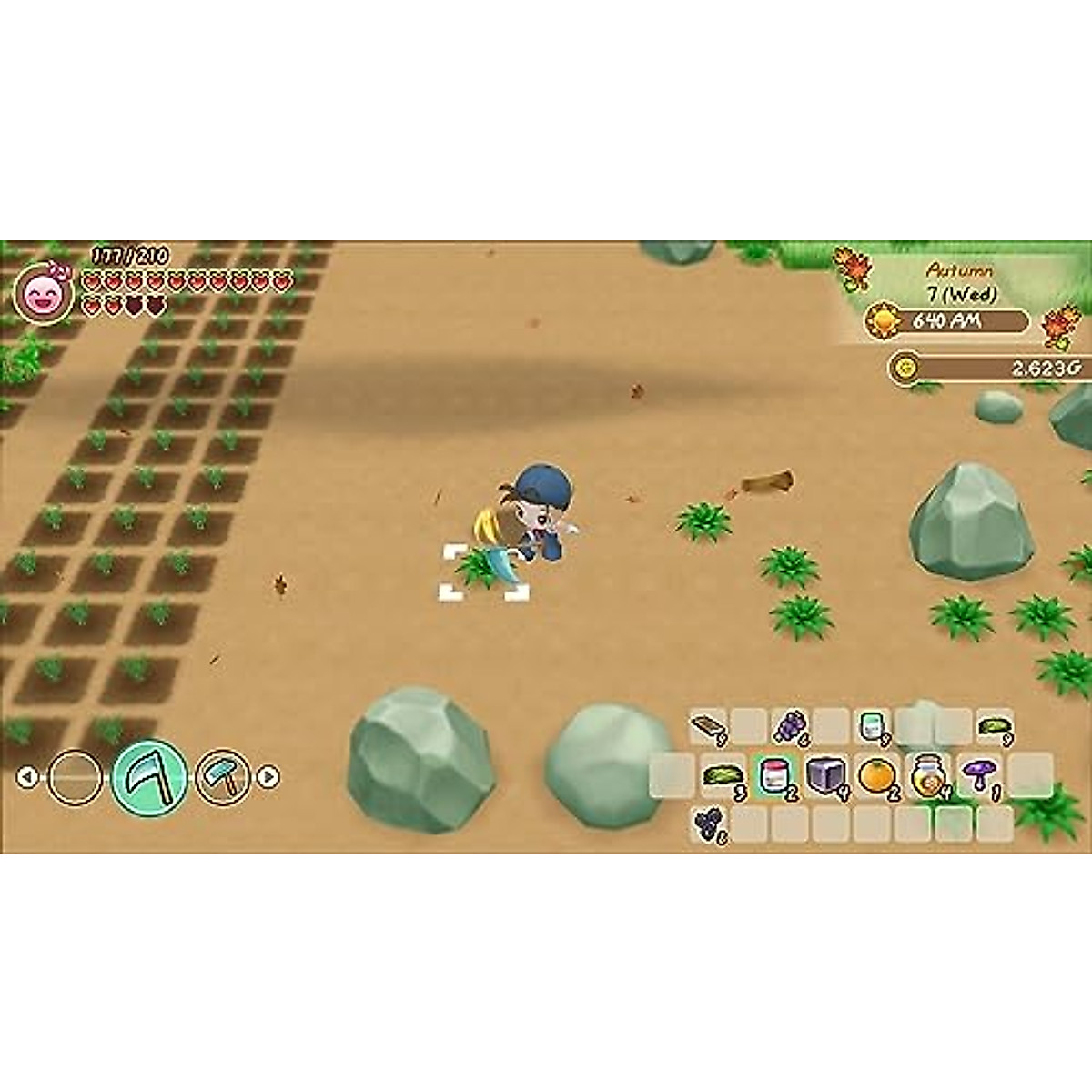 Story of Seasons - Friends Of Mineral Town (Nintendo Switch)