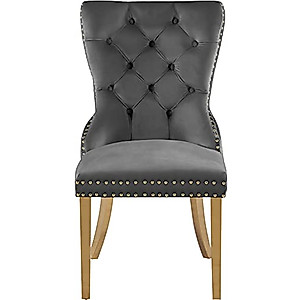 Meridian Furniture Carmen Collection Velvet Upholstered Dining Chair with Sturdy Gold Metal Legs, Set of 2, Grey