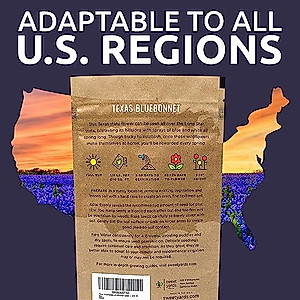 Texas Bluebonnet Wildflower Seeds - Bulk 1/4 Pound Bag - Over 4,000 Native Seeds - Texas State Flower!