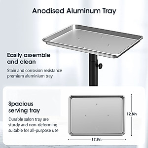 Premium Aluminum Instrument Salon Tray Tattoo Rolling Tray Station-Silver