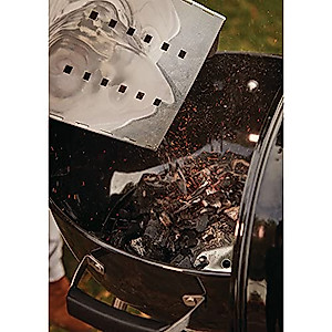 Napoleon NK22K-LEG-2 Built in Grills, Black