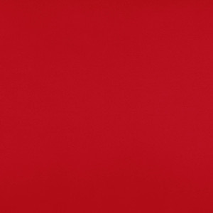 Amazon Basics 2 Piece Easy Wash Microfiber Kid's Comforter and Pillow Sham Set, Twin, Red, Solid