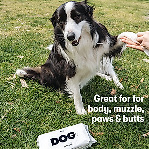 DOG by Dr. Lisa - Dog Wipes - Plant-Based, Natural Bathing Wipes for Dogs - Made from 100% Compostable Bamboo - Vet-Created - Vegan, Non-Toxic - 80 Count