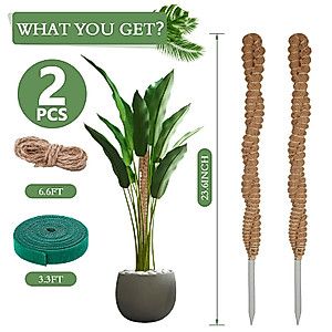 2 Pack 25 Inch Coco Coir Moss Poles for Climbing Indoor Plants - Handmade Plant Support for Creepers to Grow Upwards